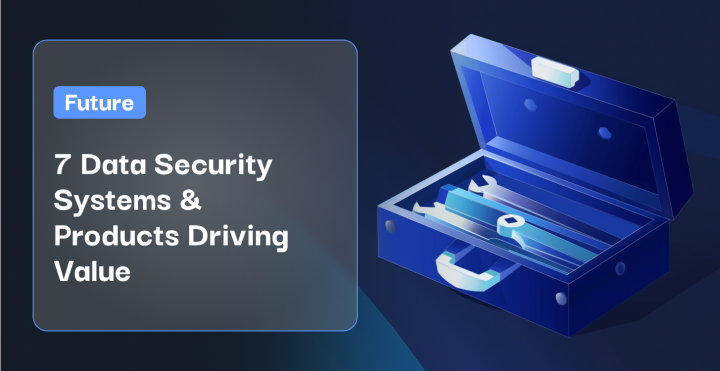 Seven Data Security Systems & Products Driving Value